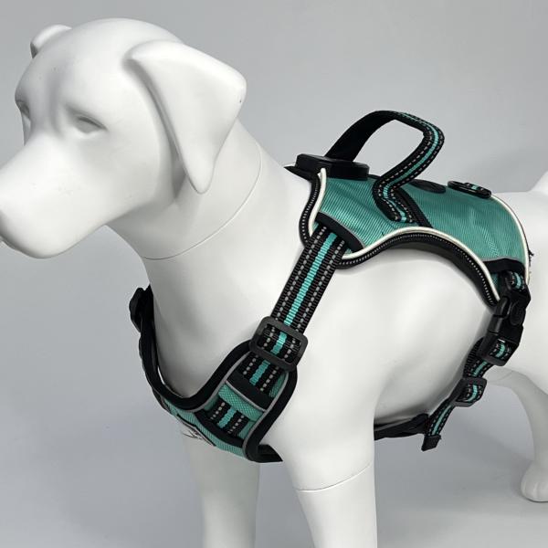 Quality Adjustable No Pull Pet Harness Comfortable Breathable Design Suitable for Dogs Cats Walking Training and Outdoor Activities for sale