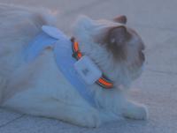 Quality Real Time Dog GPS Tracker Smart Pet GPS Collar Tracker With Continuous Live for sale