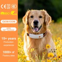 Quality Smart pet health tracking collar for sale