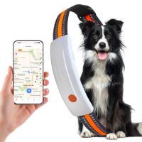 Quality Smart Pet Products for sale