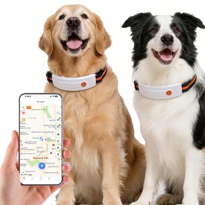 China Prevents Unauthorized Access Smart Pet Products Offering Security and Automation Features to Enhance Pet Care Services for sale