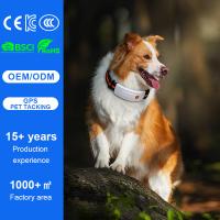 Quality Compact Size 4G LTE Pet Tracker GPS Device Providing Real Time Location Updates for sale