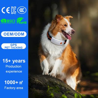 China Compact Size 4G LTE Pet Tracker GPS Device Providing Real Time Location Updates and Enhanced Pet Monitoring Capabilities for sale