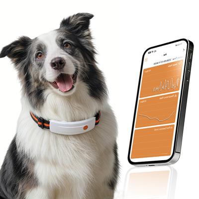 China Access restriction GPS Dog Collar offering location tracking geofence notifications and extended battery life designed for active dogs for sale