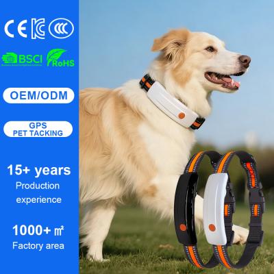 China Check permissions or authentication to manage client error in Smart Pet Products web server response for better control for sale