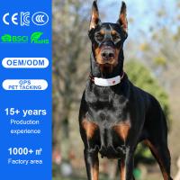 Quality HTTP Protocol Smart Dog Collar Offering Insufficient Permissions Notifications for sale