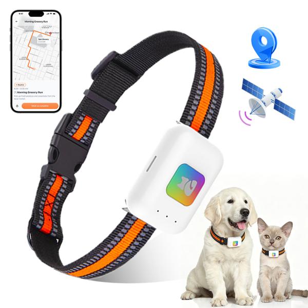 Quality 4G GPS Pet Tracker with Real-Time Location Tracking Geo-Fence Alerts and Voice Monitor for Dogs and Cats for sale