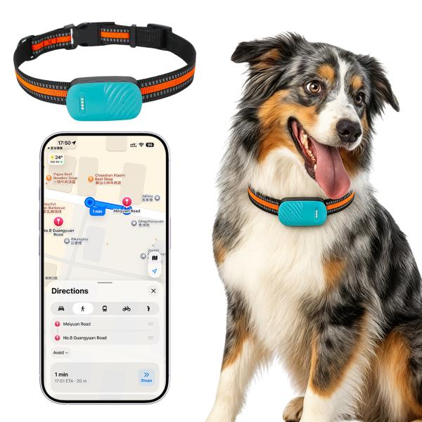 Quality Intelligent Dog Collar with GPS Tracking, Steps and Health Monitoring for sale