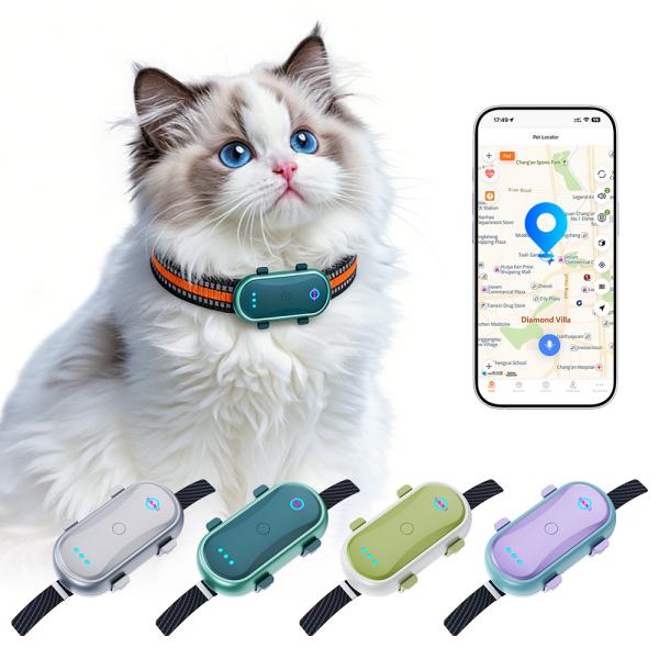 Quality Smart Dog GPS Collar with Activity Records and Safety Boundary Alerts for sale