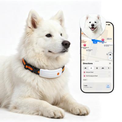 China Pet GPS Tracker Collar, 4G, Real-Time Position Tracking | GPS Dog Tracking Collar for sale
