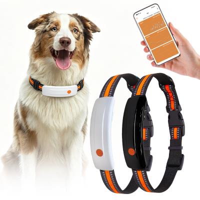 China Compact Size 4G LTE Pet Tracker GPS Device Providing Real Time Location Updates and Enhanced Pet Monitoring Capabilities for sale