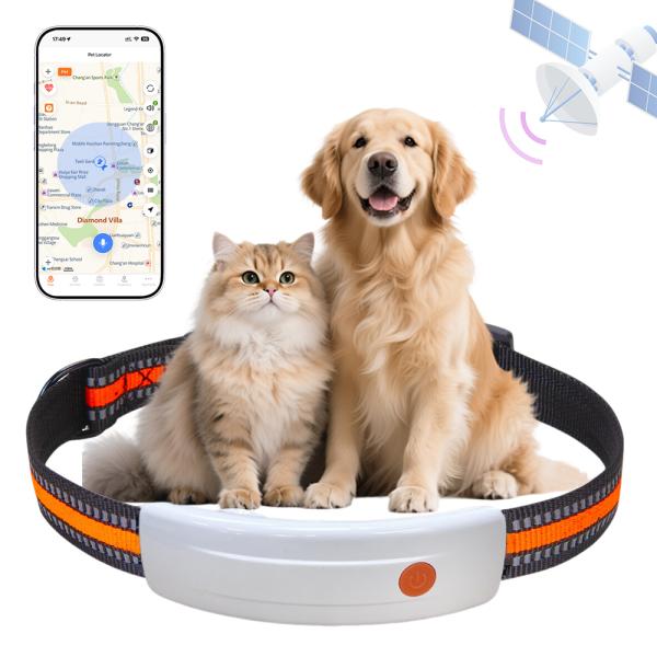 Quality Smart Pet Products providing intelligent pet devices that combine advanced technology with easy to design for pet care automation for sale