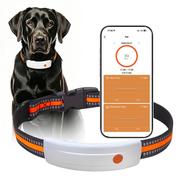 Quality Smart Pet Products equipped with intelligent sensors providing real time data on pet behavior environment and wellness for sale