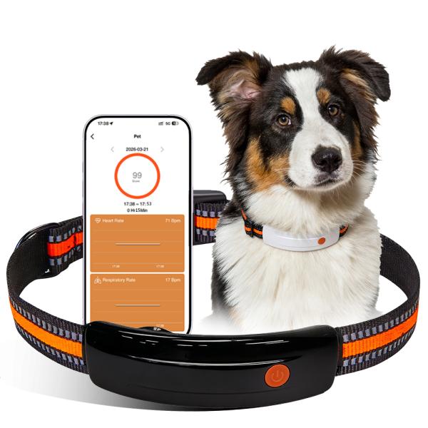 Quality Access restriction GPS Dog Collar offering location tracking geofence notifications and extended battery life designed for active dogs for sale