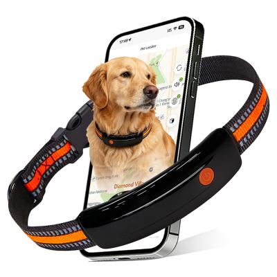 China Pet GPS Tracker Collar, 4G, Real-Time Position Tracking | GPS Dog Tracking Collar for sale