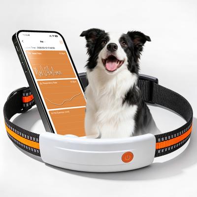 China Prevents Unauthorized Access Smart Pet Products Offering Security and Automation Features to Enhance Pet Care Services for sale
