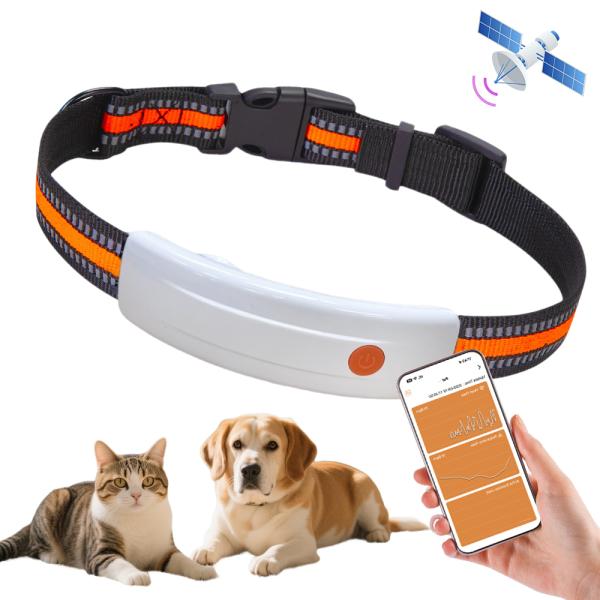 Quality Compact Size 4G LTE Pet Tracker GPS Device Providing Real Time Location Updates and Enhanced Pet Monitoring Capabilities for sale