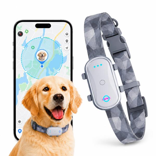 Quality Waterproof 4G Pet Tracker Anti-Lost GPS Locator for Pet Brands Wholesalers Distributors and Online Sellers for sale