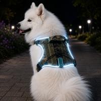 Quality Lightweight No Pull Dog Harness Featuring Quick Release Buckles and Ergonomic for sale