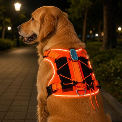 China Lightweight No Pull Dog Harness Reflective Strips Adjustable Fit Breathable Mesh for Safety and Comfort During Night Walks for sale