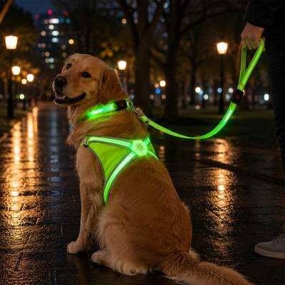 China Qcool Rechargeable Light Up Adjustable Reflective Pet Walking Safety Custom Logo 3 Piece LED Dog Harness Collar and Leash Set for sale