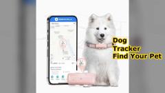 Pet GPS Tracker: Never Lose Your Dog!