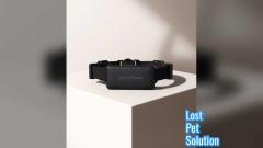 Smart Pet Collar: Track Your Dog
