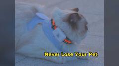 Pet GPS Tracker Find Lost Pets