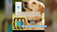GPS Pet Collar Track Your Lost Pet Safely