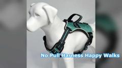 No Pull Dog Harness: Stop Pulling Walks