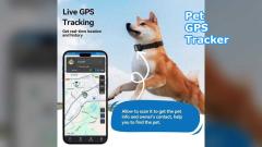 Pet GPS Tracker: Track Your Pet Safely