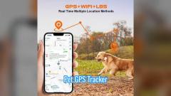 Pet GPS Tracker Never Lose Your Pet