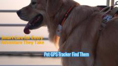 Pet GPS Tracker Never Lose Your Dog Cat