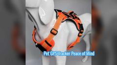 Never Lose Your Pet Again GPS Pet Collar