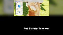 Pet Tracker GPS Dog Collar Activity Monitor