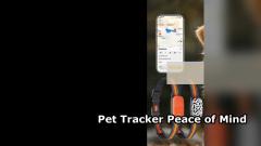 Pet GPS Tracker Real Time Waterproof Activity Monitor