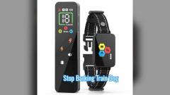 Dog Training Collar: Better Behavior Now