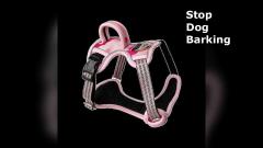 Stop Dog Barking Safely