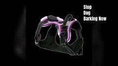 Electric Dog Training Collar Bark Control