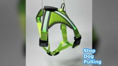 No Pull Dog Harness: Comfy Walks!