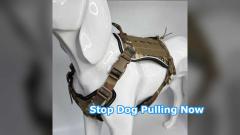 No Pull Dog Harness Stress Free Walks