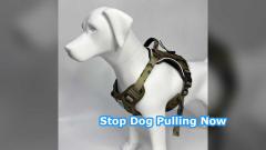 No Pull Dog Harness: Stop Pulling Today