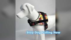 No Pull Dog Harness: Stop Pulling Now