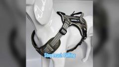 No Pull Dog Harness: Stop Leash Pulling Now