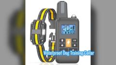 Waterproof Dog Training Collar Remote Control