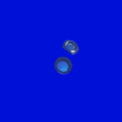 Cina luce di Rod Optical Camera Lenses Outdoor dell'endoscopio di 2.77mmx29mm in vendita