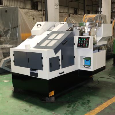 China One-Stop Automatic Drywall Screw Production Line Raw Wire To Finished Screws Custom Color & Size Service for sale