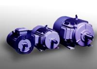 China Three Phase IP54 High Efficiency Permanent Magnet Motor for sale