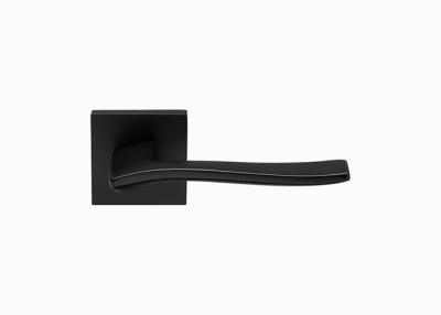 Cina OEM/ODM di lusso leggeri della maniglia di Grey Bathroom Dummy Entry Door in vendita