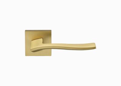 Cina OEM/ODM di lusso leggeri della maniglia di Grey Bathroom Dummy Entry Door in vendita